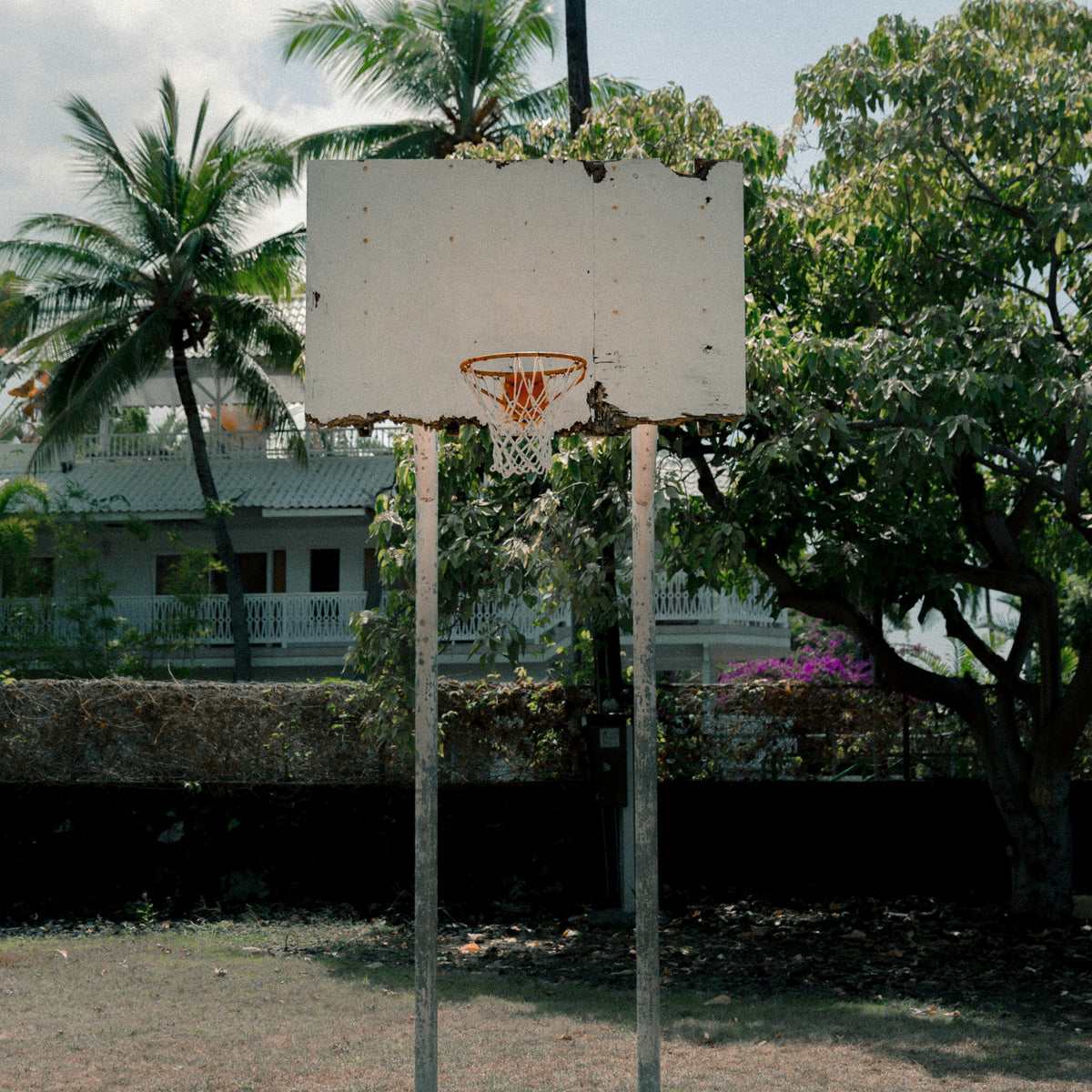 🏀 3x3 Basketball: Urban Hoops, Global Rise