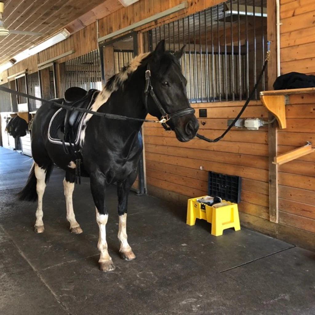 Horse Stable Floor Mats