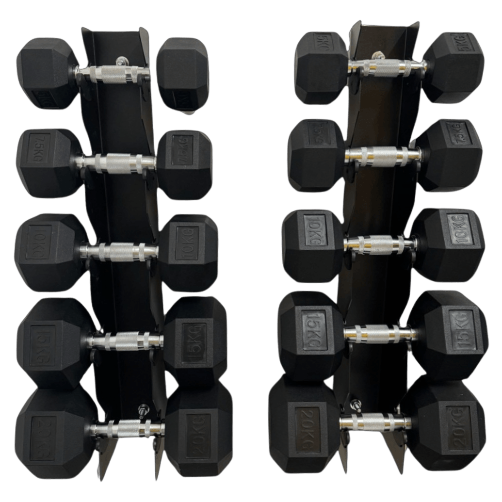 Wall Mounted Dumbbell Storage Rack with Dumbbell set 1-10kg – Sprung ...